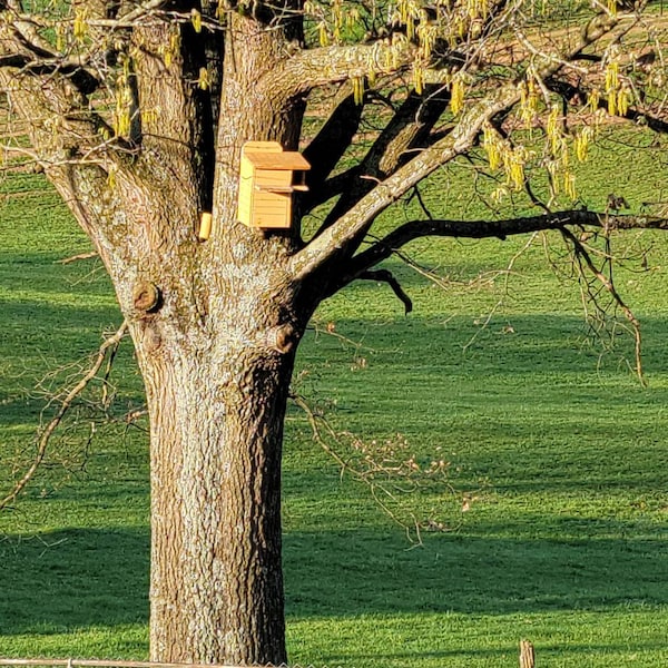 Durable Gray Squirrel Nesting Box – Wildlife Rehab Approved-predator ...