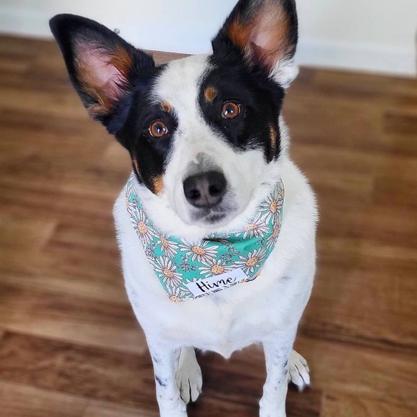 Daisy Garland Crochet Flower Bunner Kids Art Display Daisy Wall Decor ...