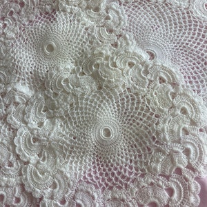 Shell Educational Poster Life on the Tide Line - Etsy UK