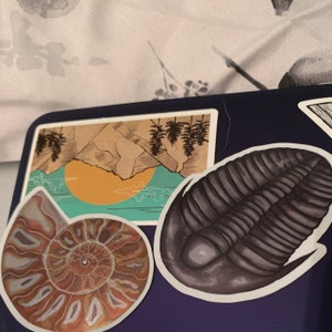 Paleontology Ammonite Trilobite Sticker Geology Paleontology - Etsy