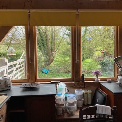 Flower Pots Window Stickers 10 Individual Colourful Flowers in Pots ...