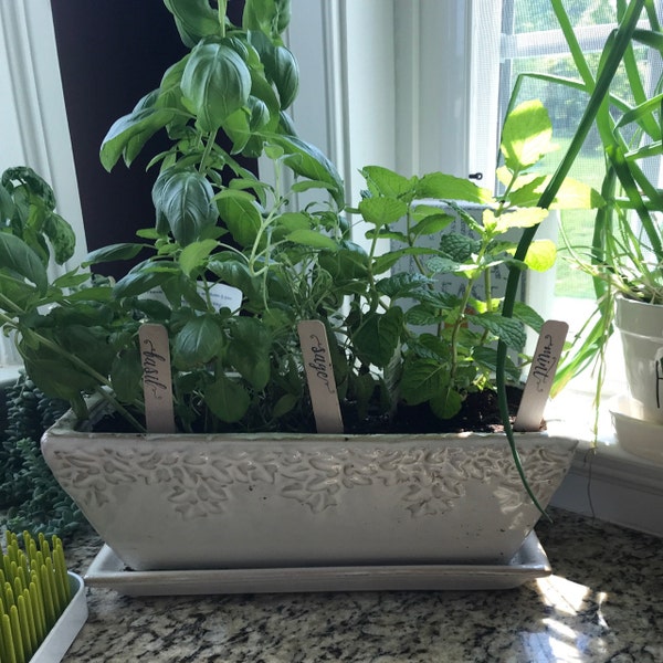 Rustic White Wooden Herb Garden Markers: Laser Engraved Plant Labels - Etsy