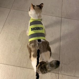Security. Water-repellent Green Safety Cat Harness With Reflective ...