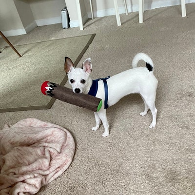 Dooby's blunt Cigar Hemp Dog Toy - Etsy