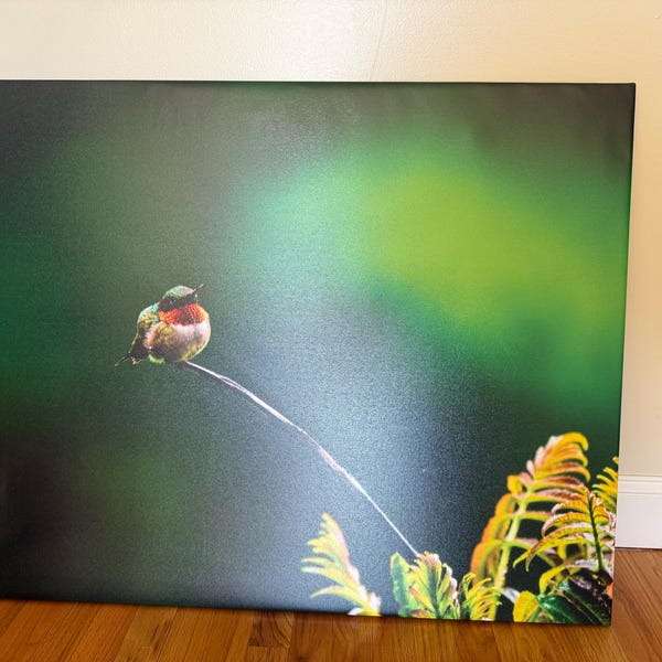 Total Solar Eclipse; Gallery Wrapped Canvas - Etsy