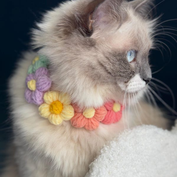 Adjustable Cute Crochet Soft Ribbon Kitten Collar Pet Costume Cat ...