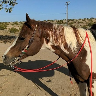 Yacht Rope Sport Mecate Reins W Poppers Use With Slobber Straps Snaffle ...