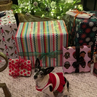 Rapping Paper Snoop Dogg Dr. Dre Ice Cube Eazy E 2pac Notorious B.I.G ...