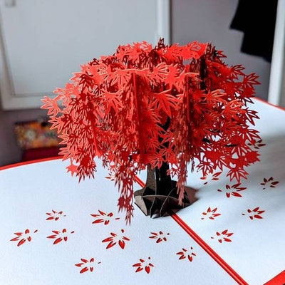 Acer Tree Pop up 3D Card Birthday Mothers Day Special Occasions - Etsy UK