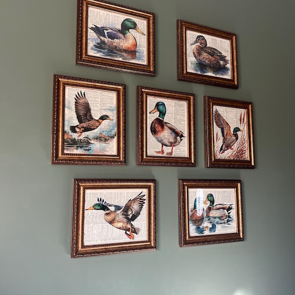 Mallard Duck Art Print Set of 7 Ducks Wall Art Ducks Painting Ducks ...