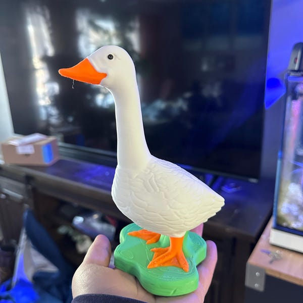 Birthday Goose Outfit for 7 Inch Desk Goose - Etsy