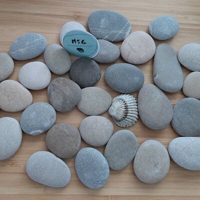 Bulk of 100 Pebbles, Flat & Colorful Genuine Beach Stones, Medium to ...