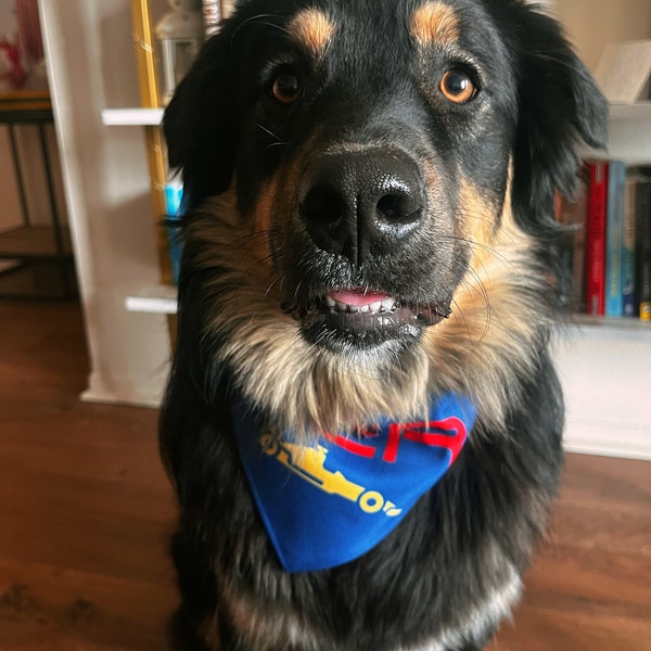 George Russell Formula 1 Teddy Bear Perfect Gift for Mercedes AMG ...