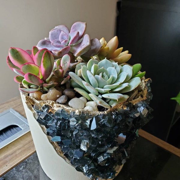 6 Inch Geode Pot - Concrete Pot - Hand Painted Pot - Stone Pot ...