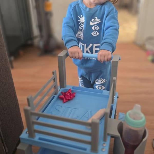 All Terrain Toddler Push Cart, Personalized Kids Push Cart, the ...