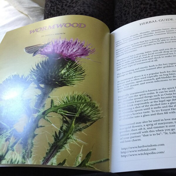 April 2016 Vol #11 Witch Way Magazine - DIGITAL - the Coven Issue-fiona ...