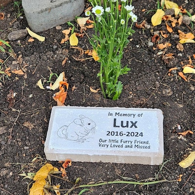 Rabbit / Bunny Memorial Stone Rainbow Bridge Personalized Pet Keepsake ...