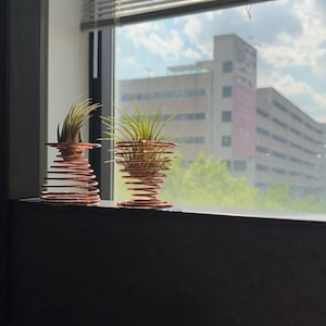 Floating Forest Trio Moss Wall Art, Wall Decor, 3 Cork Bark W ...