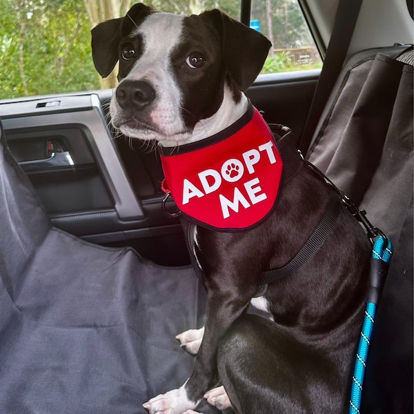 ADOPT ME Bandana Scarf for Rescue Dogs - Etsy