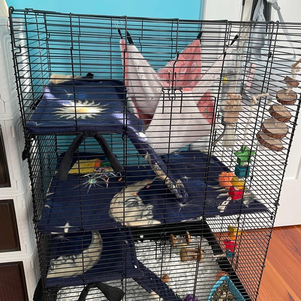 Small Animal Cage Ramp Cover Tent, Critter & Ferret Nation, Feisty ...