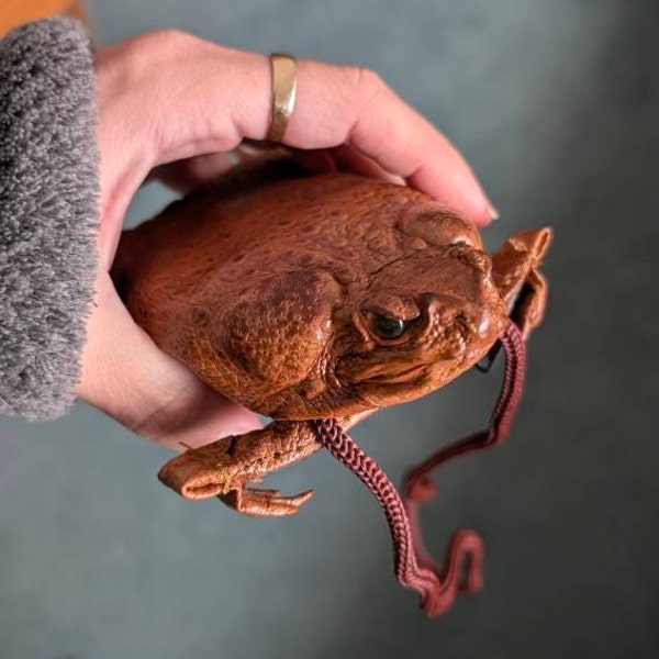 Real Cane Toad Purse Full Body Regular Size Leather Frog Bag~ Fits ...