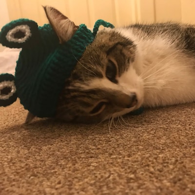 Frog Hat for Cat, Frog Pet Costume, Kitten Outfit, Cat Accessories ...