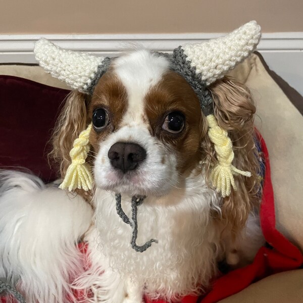 Brunhilde, Vikings, Valkyries, Wagner Opera, Hats for Cats, Pet Hats ...