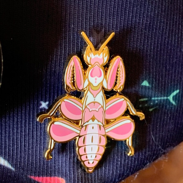 Number 1 Bug Enthusiast Iron-on Patch / Entomologist / Entomology / Insect Patch / Embroidered ...