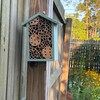Kids Pollinator House Kit - Children's DIY Build Your Own Wood Habitat ...