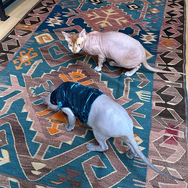 Antique AVAR Kilim , Antique Kilim Rug, Ethnic Kilim Rug, Wide Kilim ...