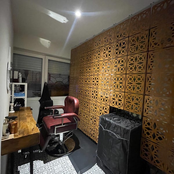 Buy Modern Hanging Wall Dividers for Stylish Room Separation - Stylish ...