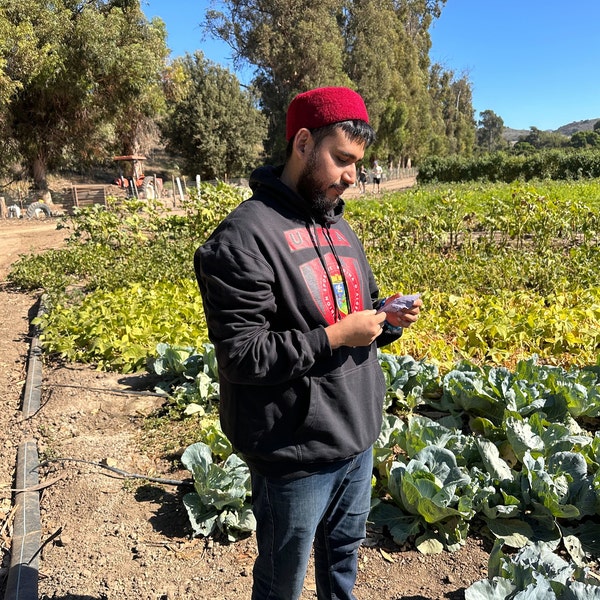 Turkish Ottoman Hat, Fez, Moroccan Tarbouche, Authentic Ottoman Turkish ...