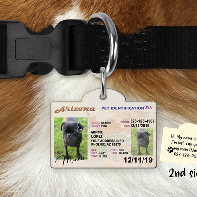 Rectangle State ID Pet Tag on a Dog Collar Mockup Template - Etsy