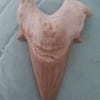 Extra Rare Macrorhizodus Falcatus Shark Tooth From Dakhla Morocco - Etsy