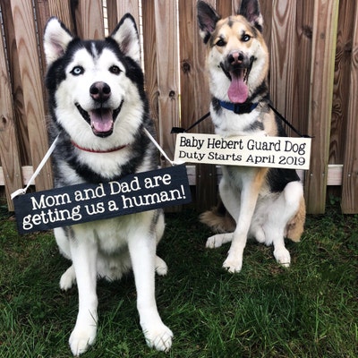 Pregnancy Announcement Dog Sign Expecting Baby Guard Photo Prop Include ...