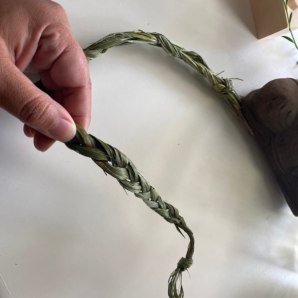 Sweetgrass Braid, 20+ Inches Long - Etsy