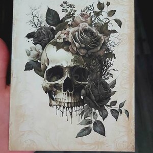 Gothic Rib Cage Illustration Print Vintage Anatomy Wall Art - Etsy UK