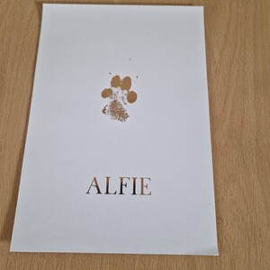 Personalised Safari Wild One Birthday Celebration Party Box Stickers ...