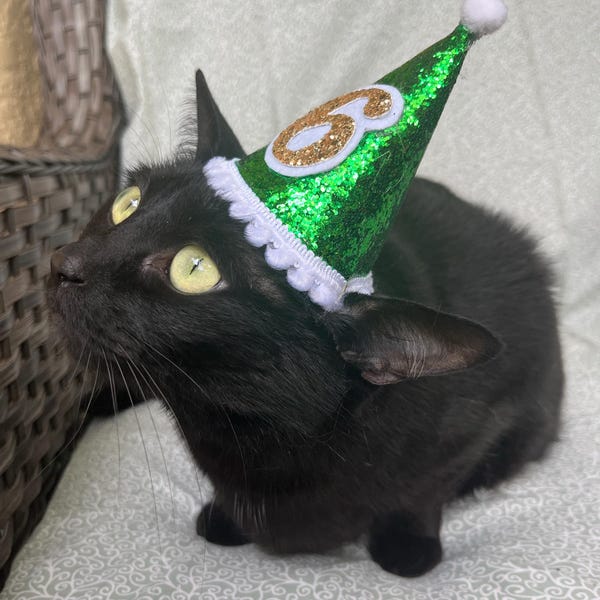 Custom Mini Fun Party Hat, FIRST Birthday, 1st B-day Hat, Girl Boy Dog ...