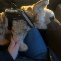 Emotional Support Harness With Handle Stuffed Animal Plush Personalized ...