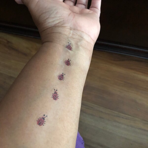 Ladybug Ear Temporary Tattoo 6 Red Ladybugs Waterproof Durable Fake ...