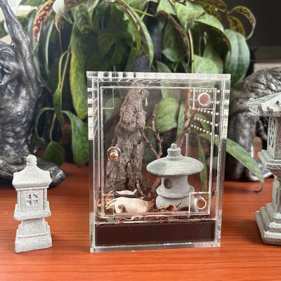 Mini Jumping Spider Enclosure Crystal Clear Jumping Spider House Easy ...