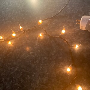 100 Count Light String / Strand / Set Brown Cord Clear | Etsy