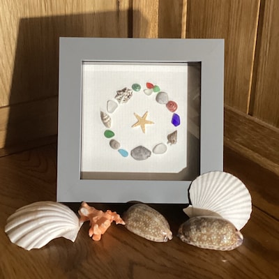 White Screw Shells 3-8cm Unicorn Horns Spiral Shell Beach Wedding ...