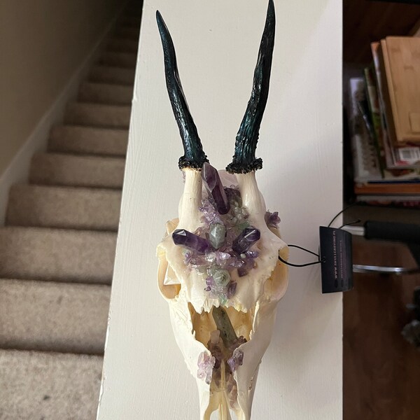 Made to Order Real Roe Deer Skull With Amethyst Crystals Stones Gift ...