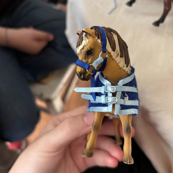 Schleich Lunging Set and Halter - Etsy