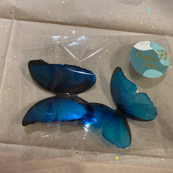 Blue Rainbow Decorative Butterflies - 3D Plastic Butterflies - Ombre ...