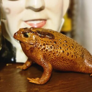 Cane Toad Purse Shoulder Bag - Etsy