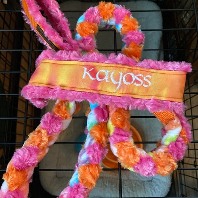 Bold and Bright Ring Lead With Tug Agility Lead-barn Hunt Lead Fyball ...