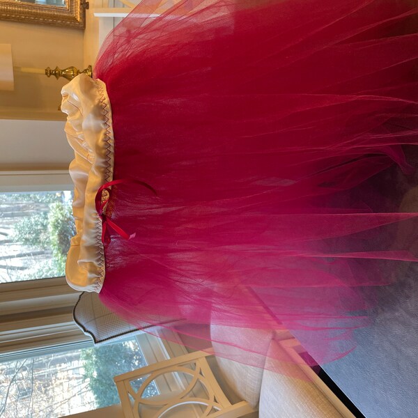 Miss Raina's Layered Rainbow Petticoat ~ Knee Length ~ With Tulle ...